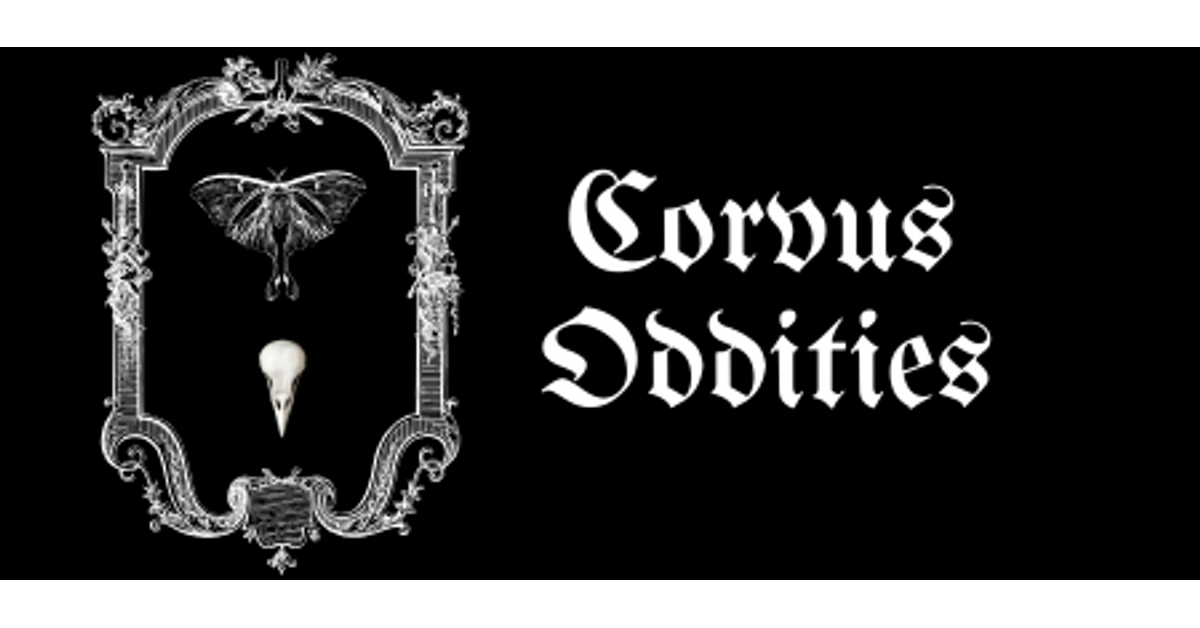 Entomology Coffin Displays – Corvus Oddities