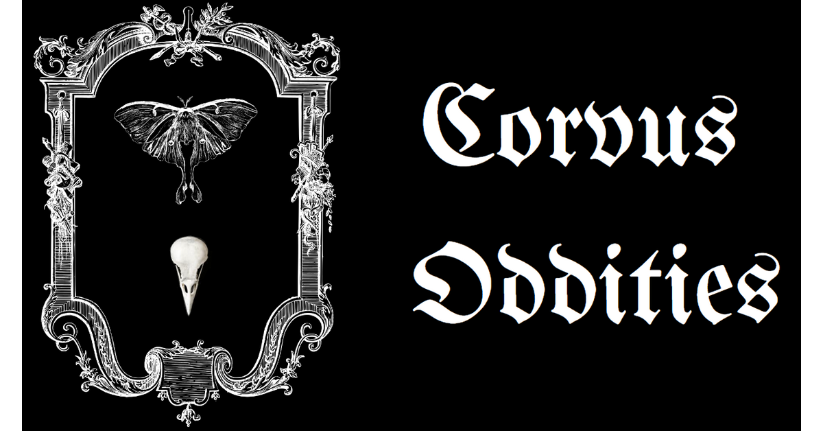 Corvus Oddities